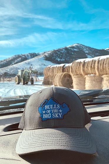 Little Bitterroot River Simmental