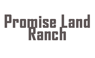 Bulls of the Big Sky Annual Production Cattle Sale